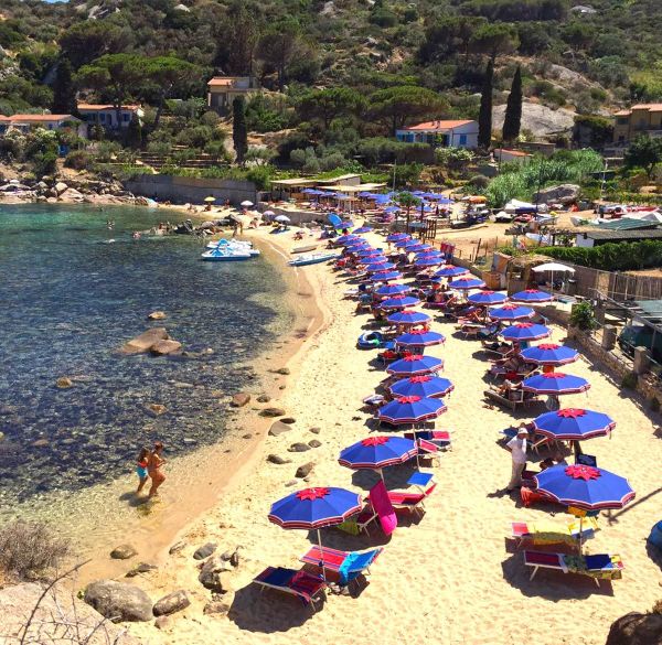 Arenella Beach - Isola del Giglio (GR) - prenotazione online | Spiagge.it