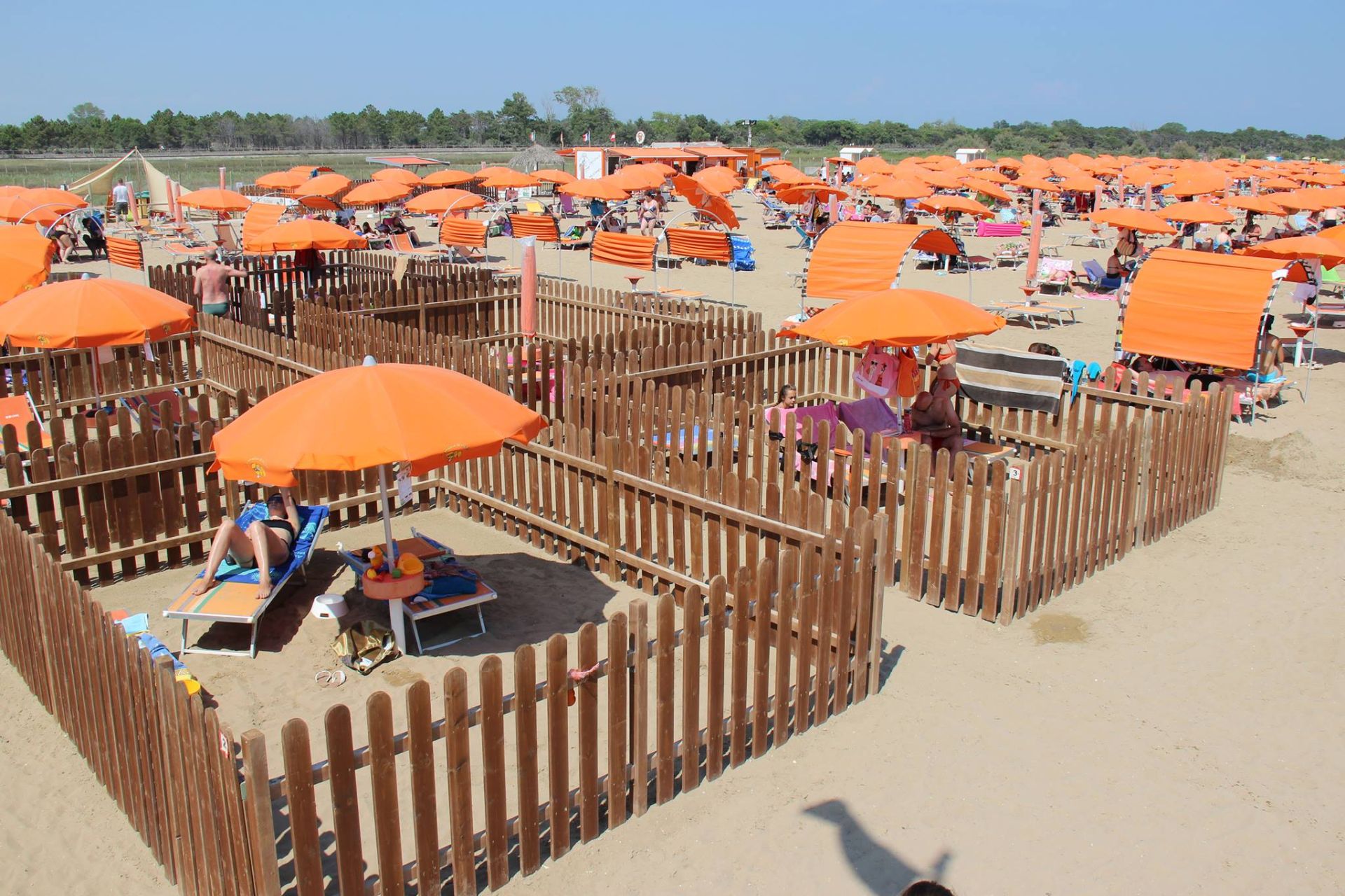La Spiaggia Di Pluto - Bibione (VE) - prenotazione online | Spiagge.it