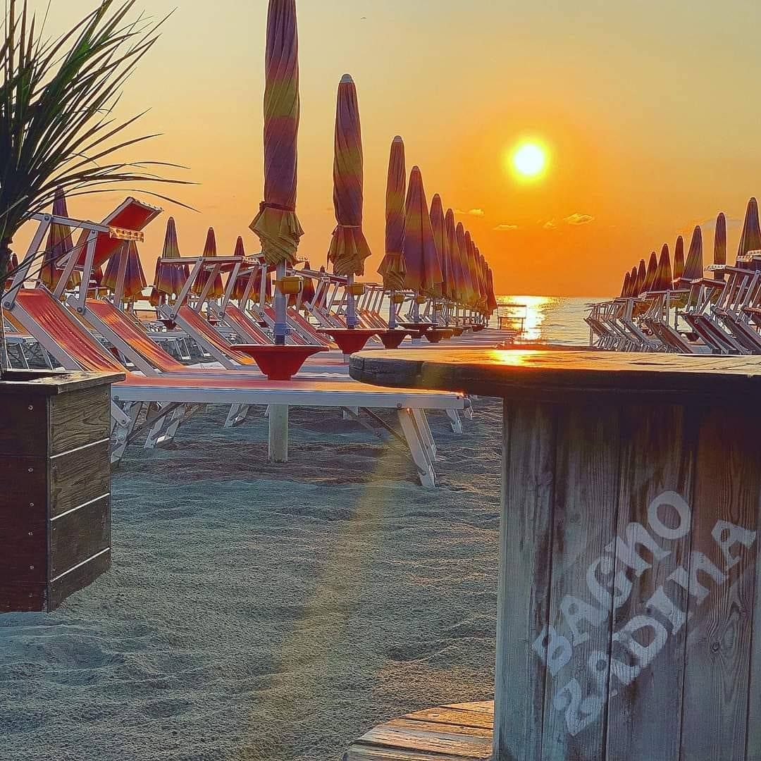 Bagno Zadina 104 - Cesenatico (FC) - prenotazione online | Spiagge.it