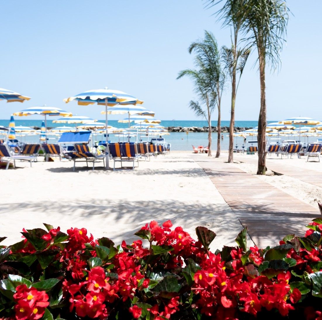 Koko Beach - Cupra Marittima (AP) - prenotazione online | Spiagge.it