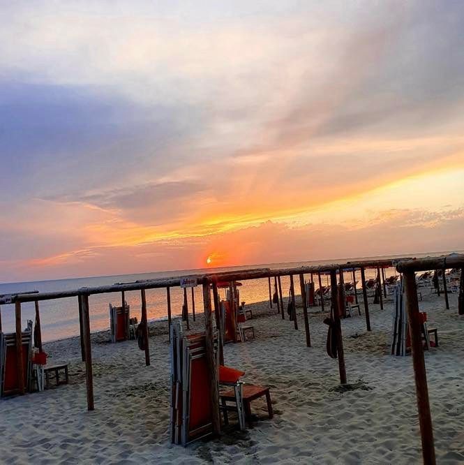Single Fin Tuscany Dog Beach - Calambrone (PI) - prenotazione online ...
